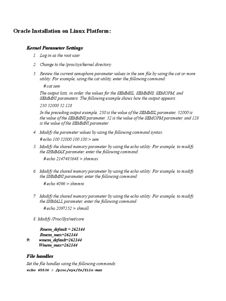 Oracle Install Pdf Parameter Computer Programming Computer File 