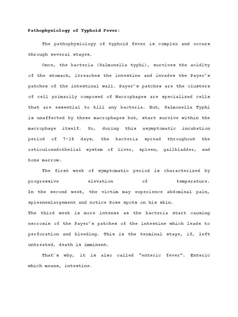 Pathophysiology of Typhoid Fever | PDF | Lymphatic System | Salmonella