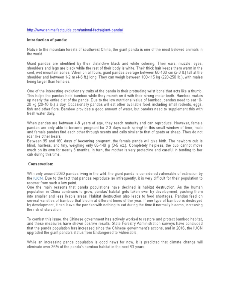 Introduction of Panda | PDF | Giant Panda | Bears
