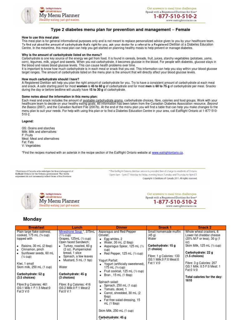 Type 2 Diabetes Menu Plan For Prevention and Management - Female | PDF ...