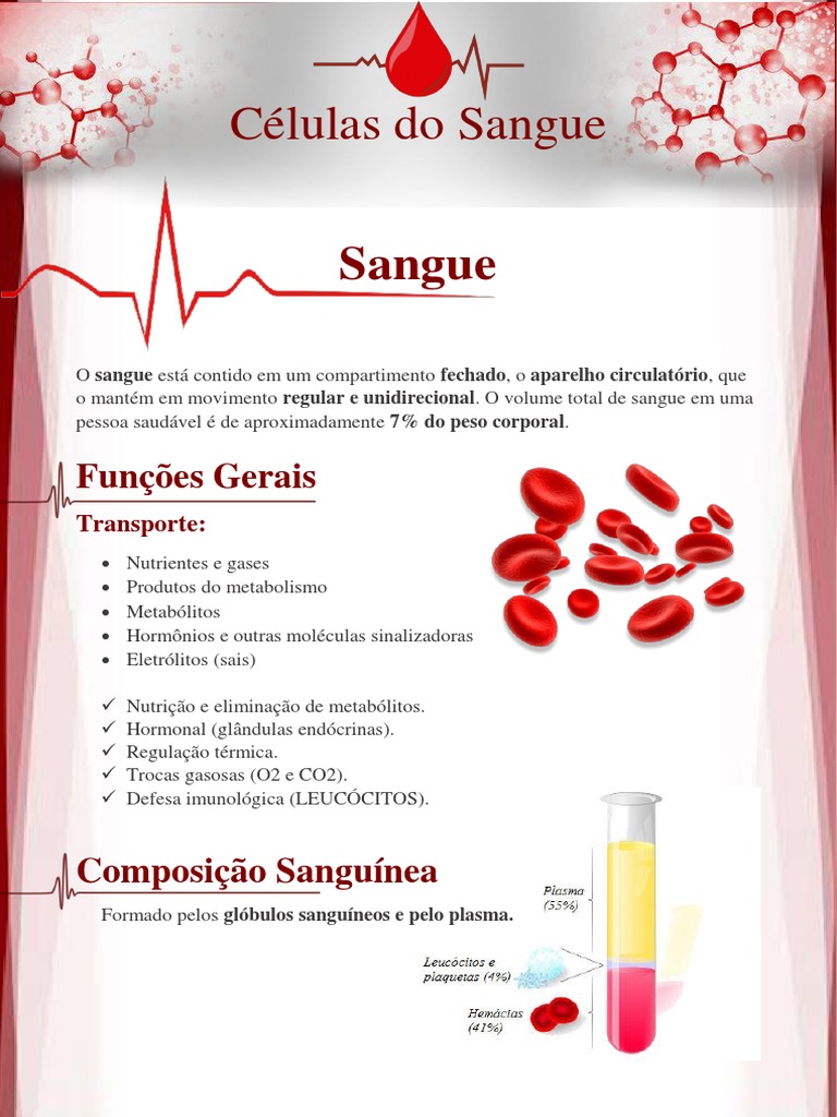 Células Do Sangue - Resumo | Linfócito | Hemácia