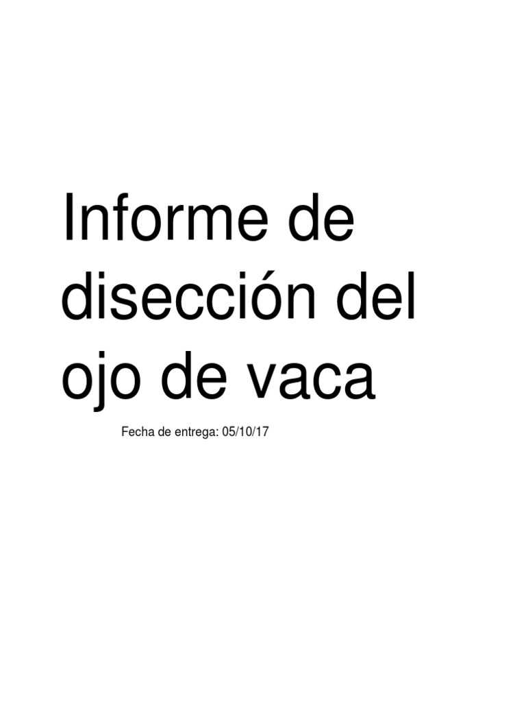 Anatomía y funciones del ojo de vaca | PDF | Ojo humano | Córnea