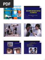 Anatomía y Patología de La Papila Óptica | PDF | Retina | Ojo humano