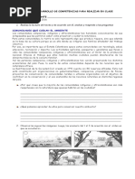 Crucigrama Respuestas | PDF | Entorno natural | Vida