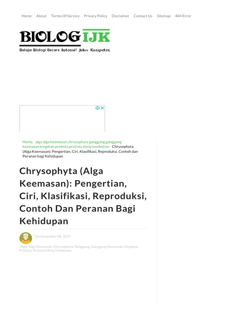 Chrysophyta (Alga Keemasan) : Pengertian, Ciri, Klasifikasi, Reproduksi ...