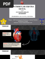 PPK Ves Atau PVC-2 | PDF