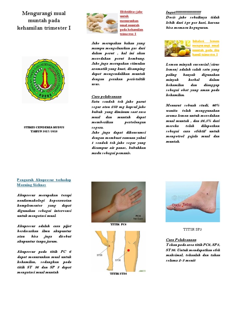 Leaflet Mengurangi Mual Muntah | PDF
