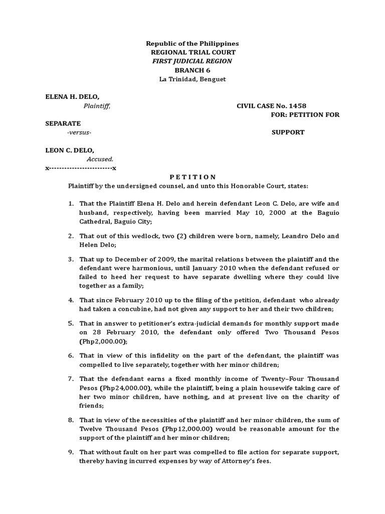 Child Support | PDF | Affidavit | Lawsuit