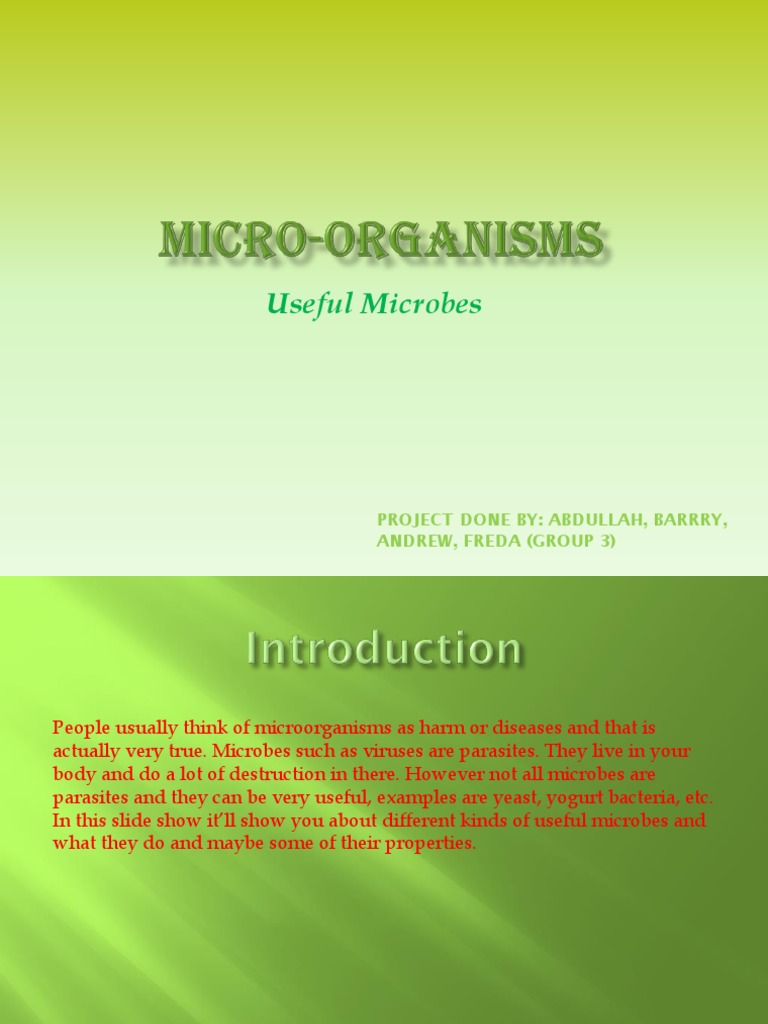 Useful Microbes: Project Done By: Abdullah, Barrry, Andrew, Freda ...