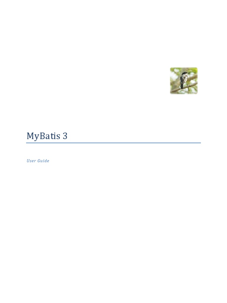 MyBatis 3 User Guide | PDF | Method (Computer Programming) | Namespace