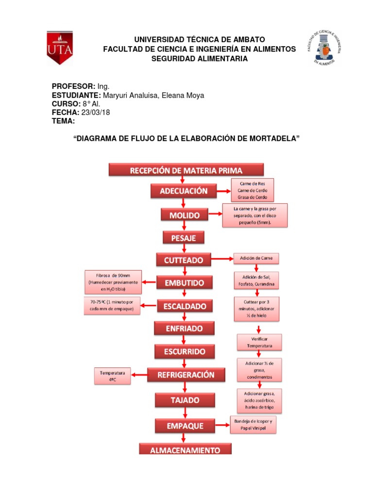 Flujo Mortadela | PDF