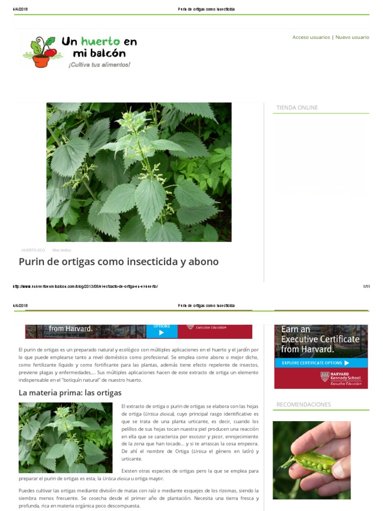Purin de Ortigas Como Insecticida | PDF | Fertilizante | Plantas