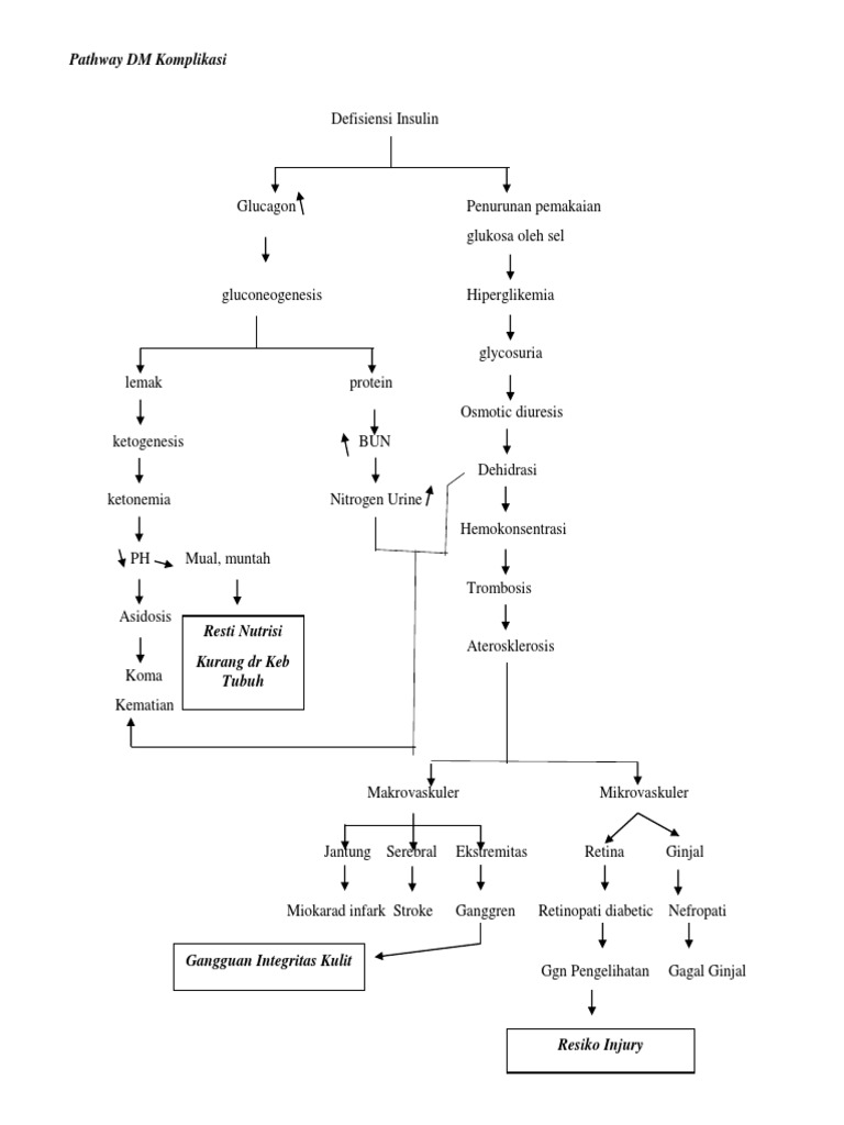 Pathway DM Komplikasi | PDF