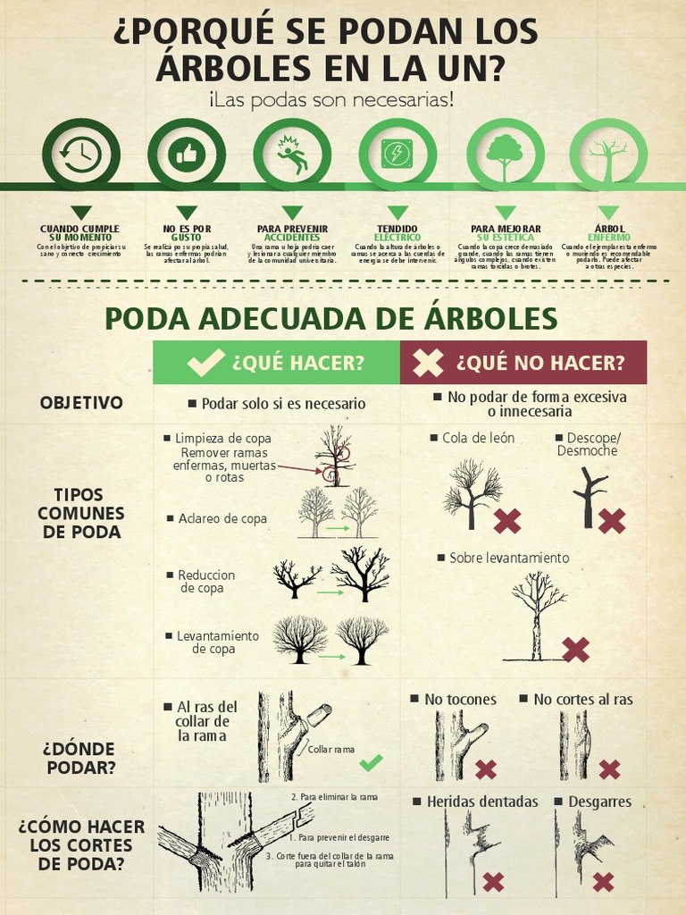 Poda | PDF | Naturaleza