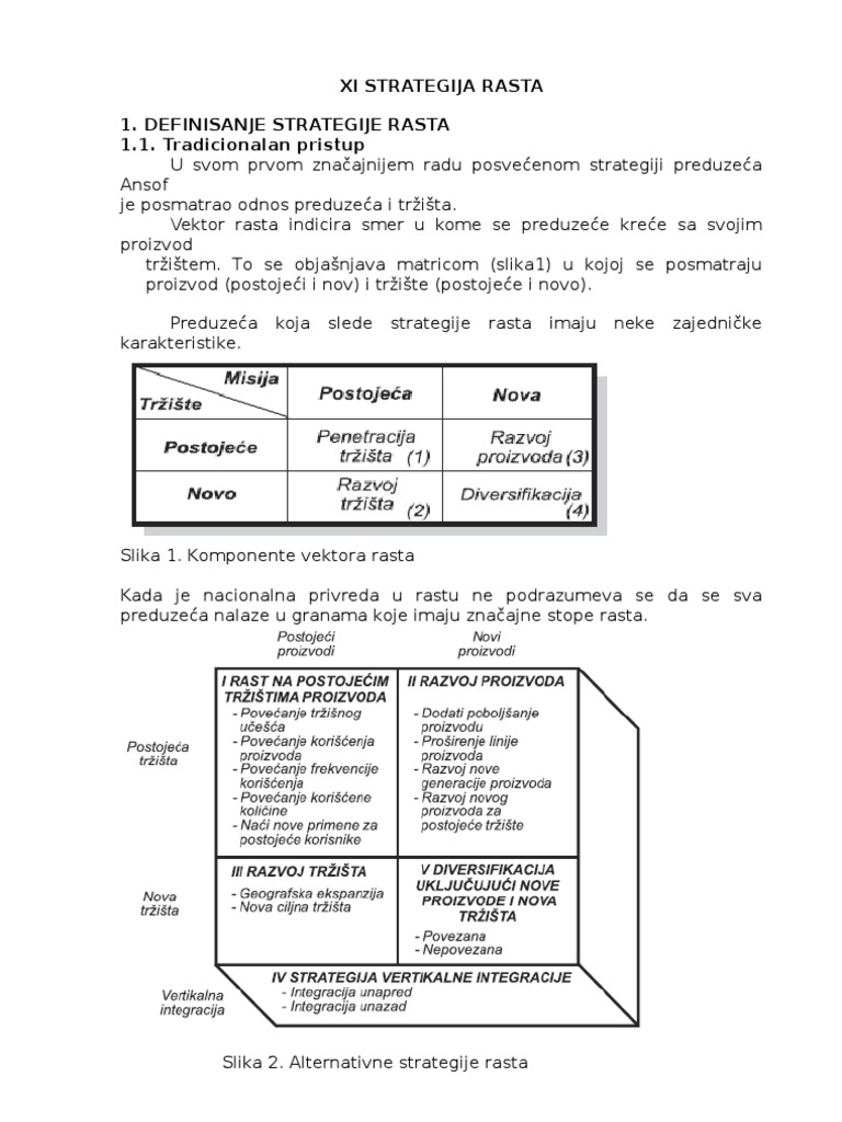 Skripta Strategijski Menadzment | PDF