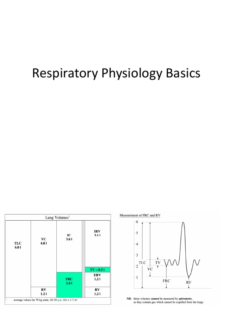 Respiratory Physiology and COPD Insights | PDF | Self-Improvement ...