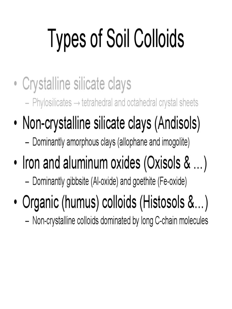 Soil Colloid 2 | PDF | Clay Minerals | Ion