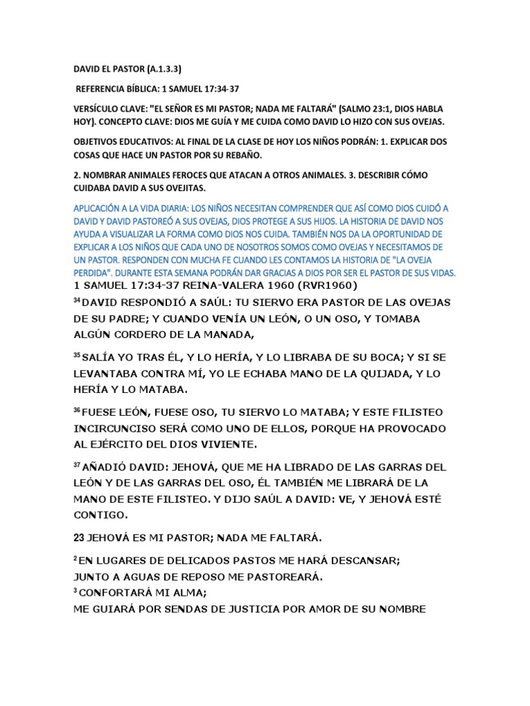 David, el Pastor y su Cuidado | PDF