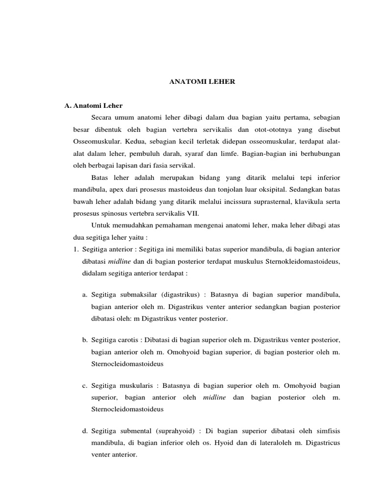 Anatomi Dan Sitem Limfatik Leher | PDF