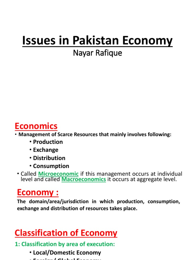 Issues in Pakistan Economy | PDF