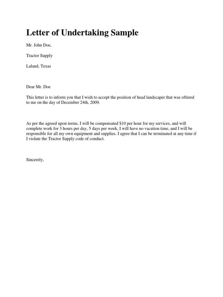 Letter of Undertaking Sample | PDF