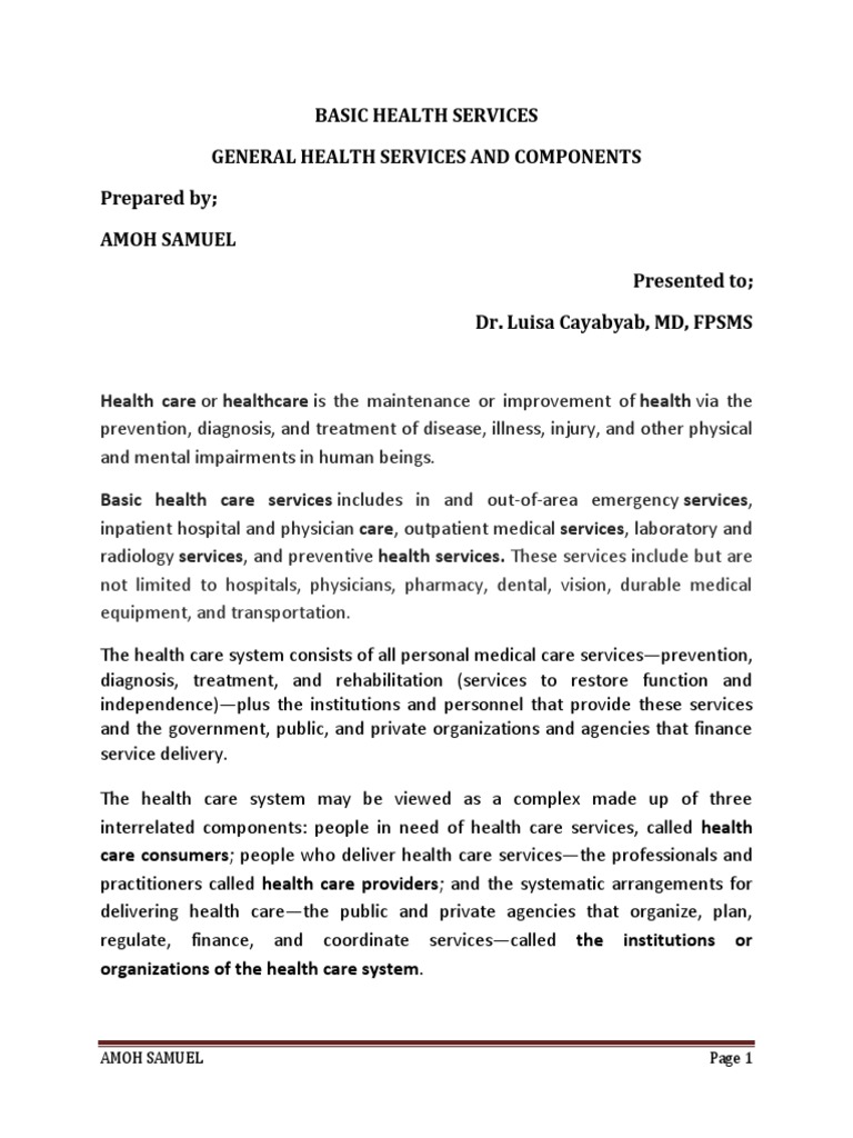 Basic Health Services | PDF | Health Care | Health Economics