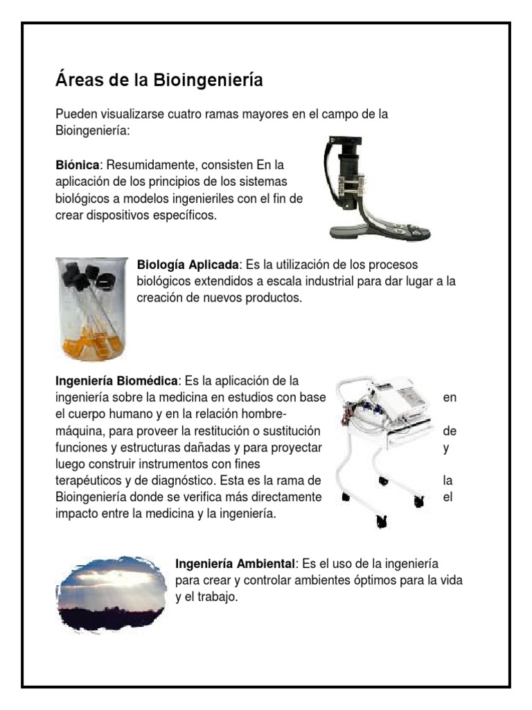 Áreas de La Bioingeniería | Ingeniería biológica | Ciencia y Tecnología ...
