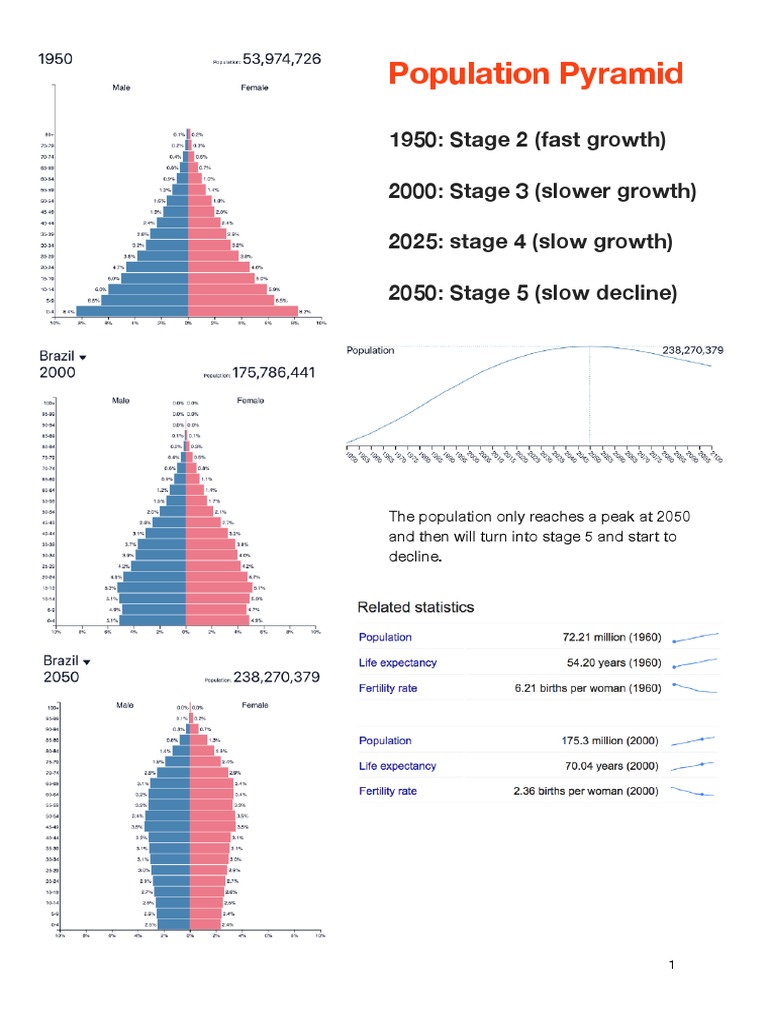 Population Pyramid | PDF