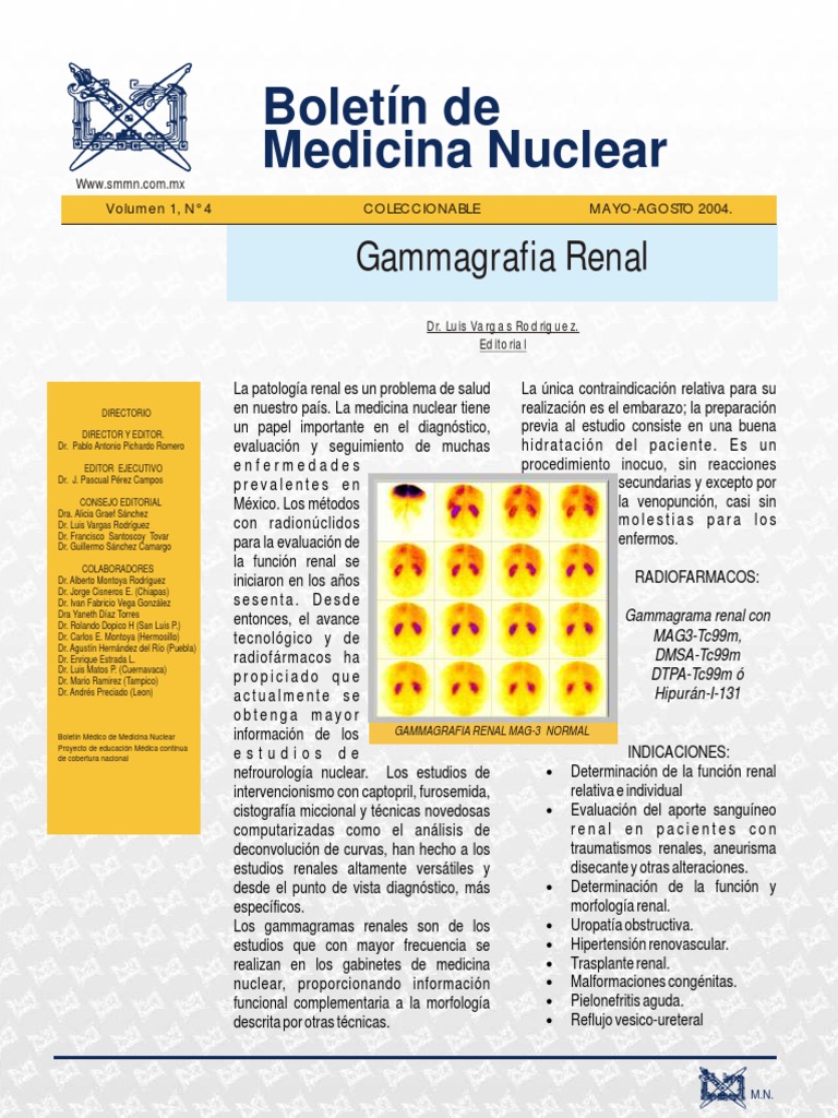 Renograma Isotopico Estudio Dinamico Renal PDF | PDF | Hipertensión | Riñón