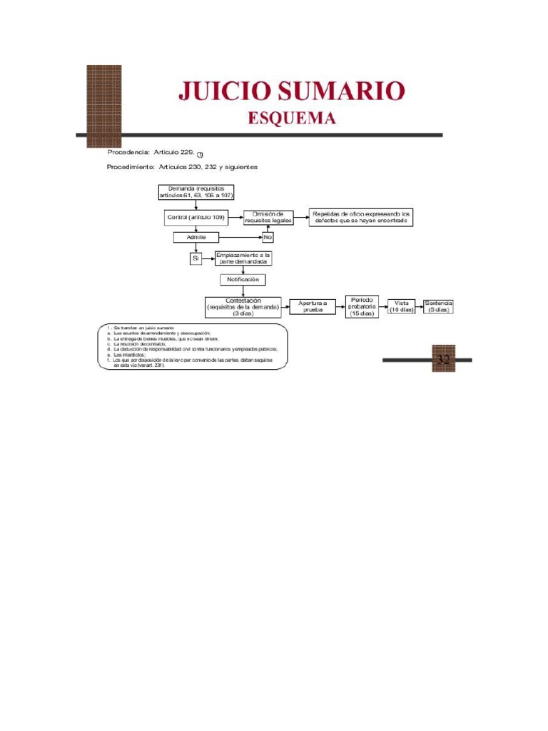 Esquema Juicio Sumario | PDF