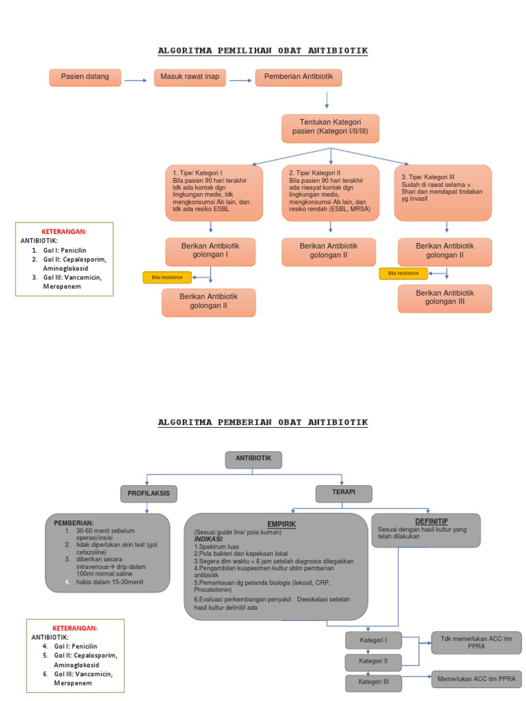 Algoritma Pemilihan Obat Antibiotik | PDF