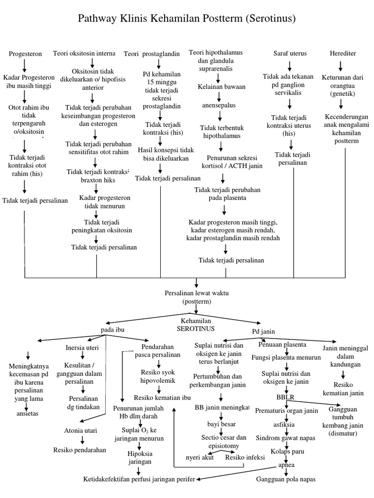 Pathway Klinis Kehamilan Postterm
