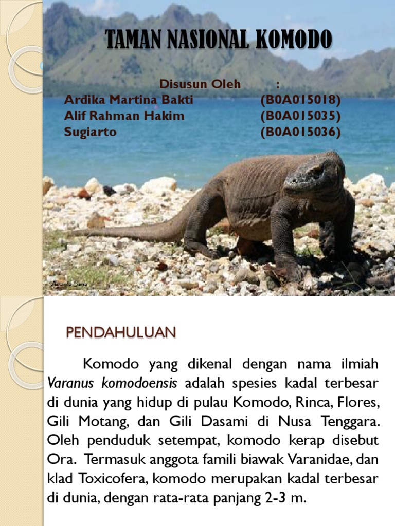 MEMPERKENALKAN TAMAN NASIONAL KOMODO | PDF