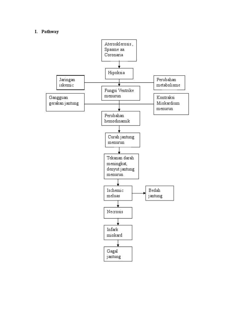 Pathway Bedah Jantung | PDF