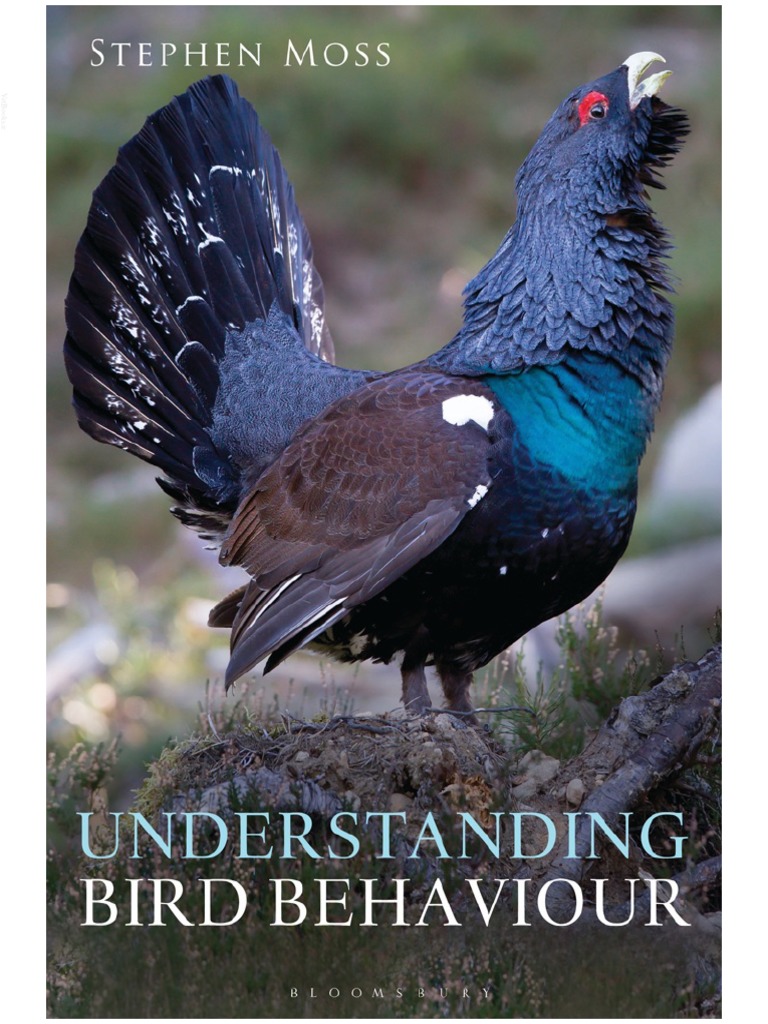 Understanding Bird Behaviour | PDF | Birds | Bird Migration