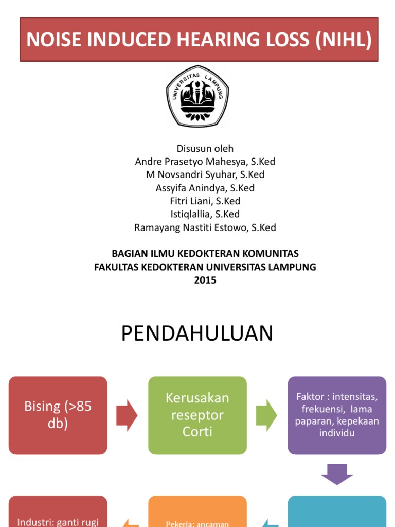 Noise Induced Hearing Loss (Nihl) | PDF