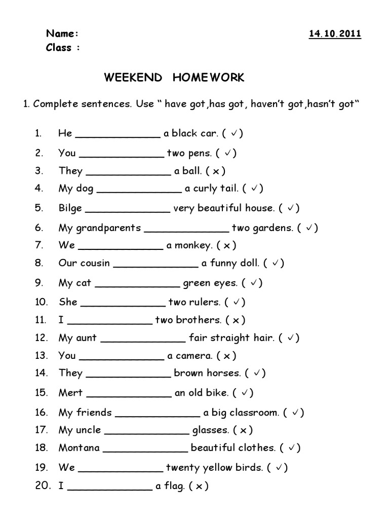Have Got Grammar Worksheet Fill in | PDF