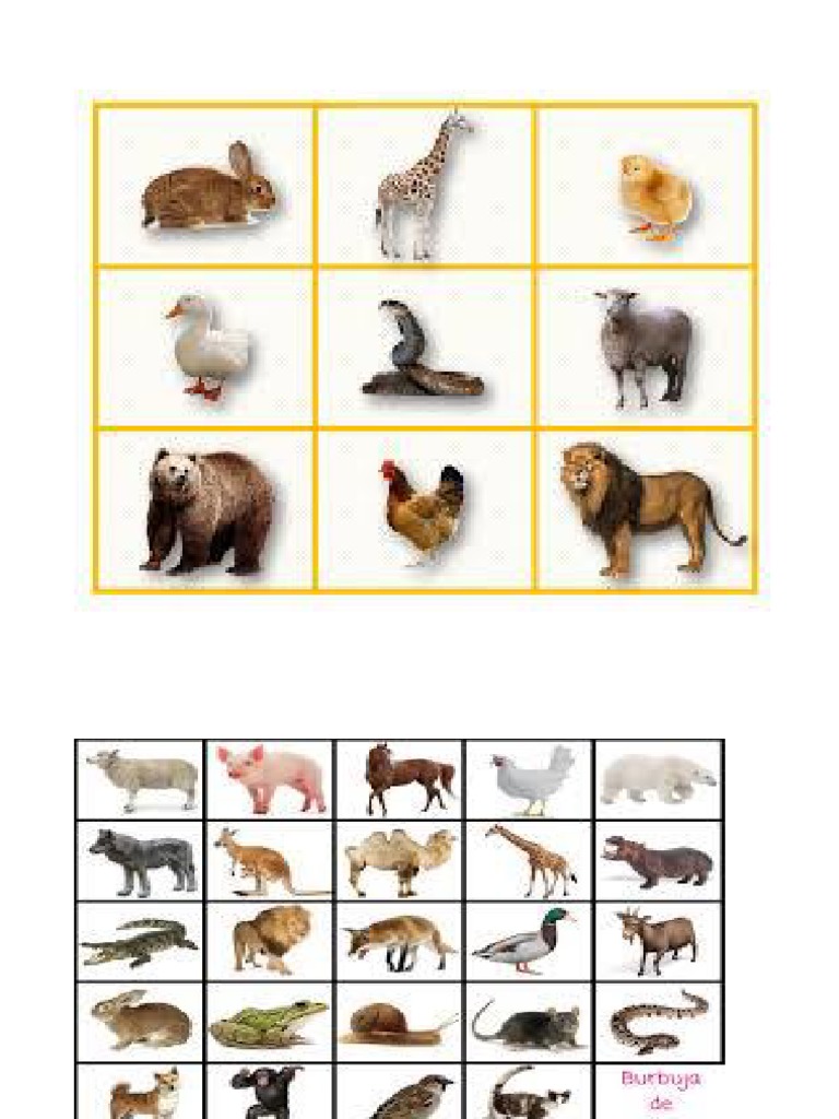 Animales para Recortar | PDF