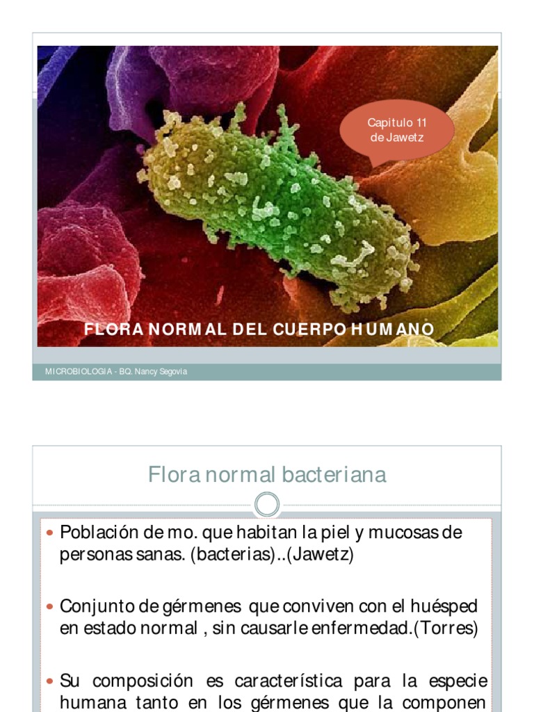 Flora Normal 1 | PDF | Las bacterias | Microorganismo