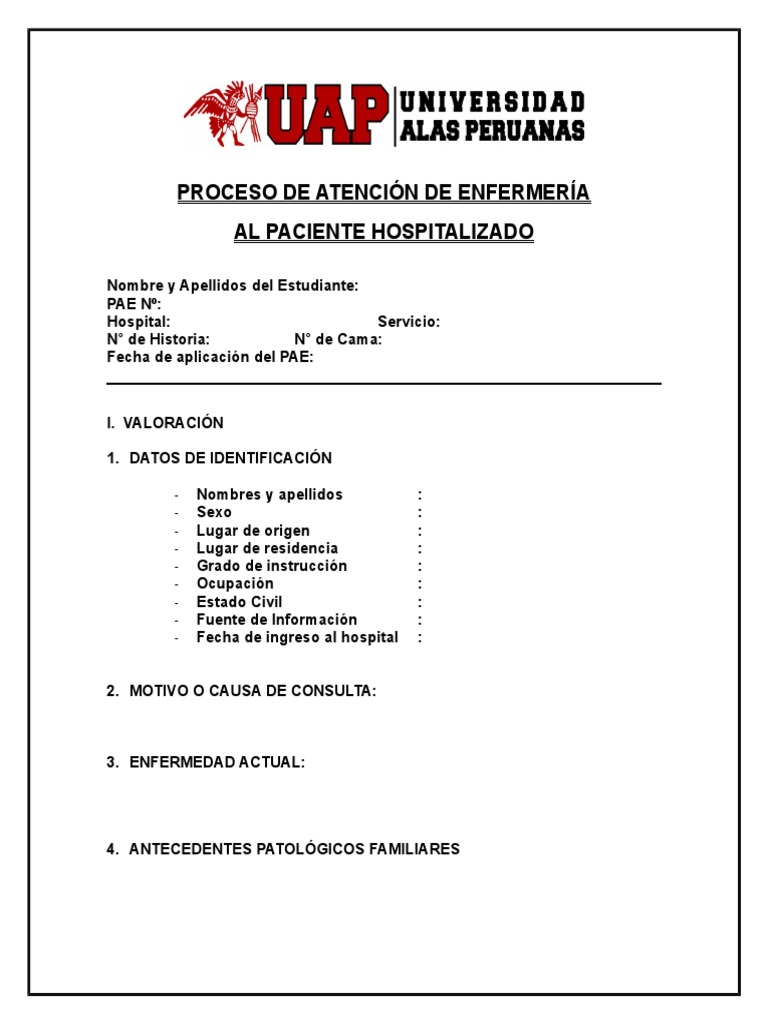 Pae Modelo Hospitalario | PDF