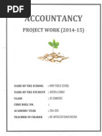Accountancy Project File Class 12th For 2023-24 Session | PDF