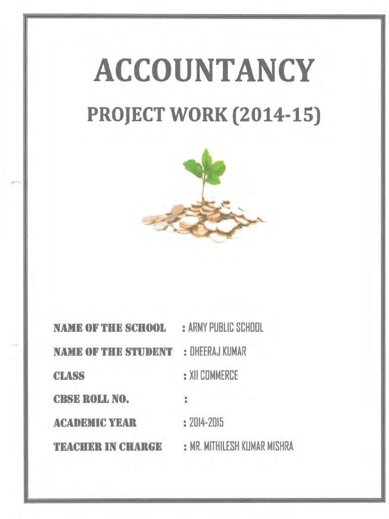 Class 12 Accountancy Project (Comprehensive) - 1 - Small PDF | PDF