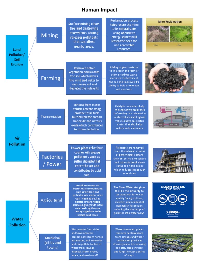 Human Impact Graphic Organizer | PDF | Water Pollution | Human Impact ...
