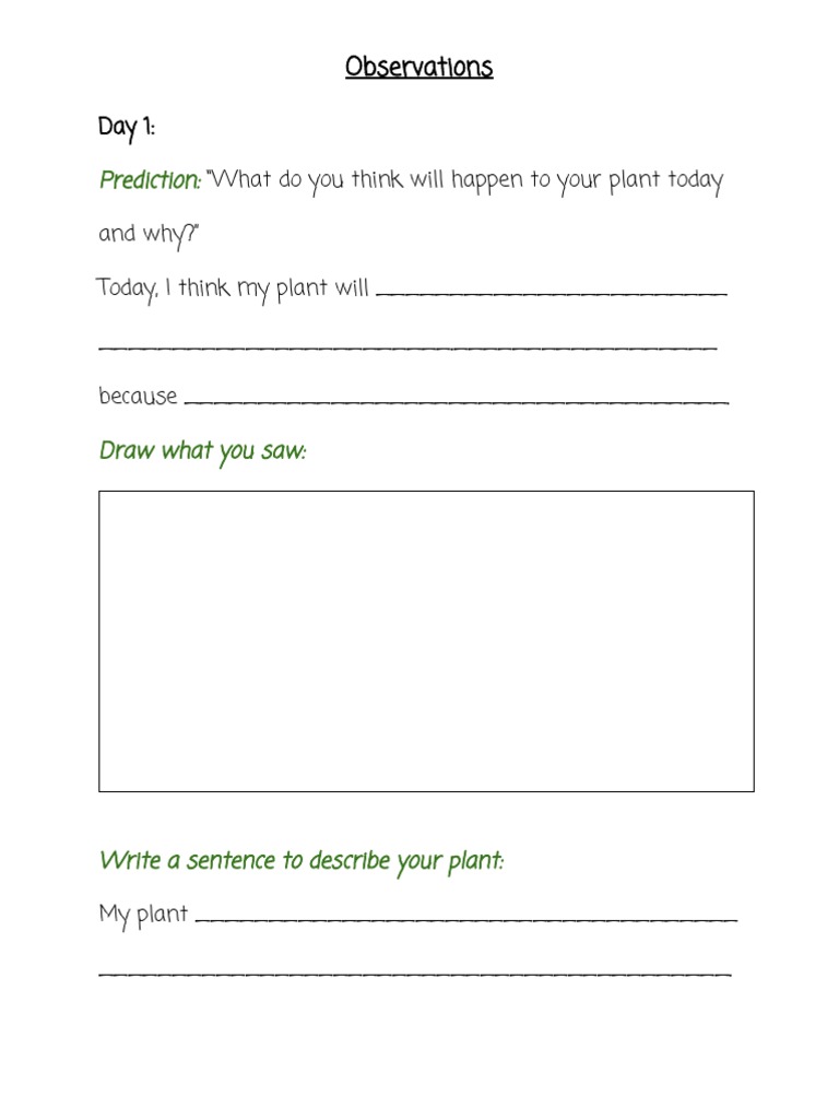 Plant Growth Observation Journal | PDF | Career & Growth | Self-Improvement