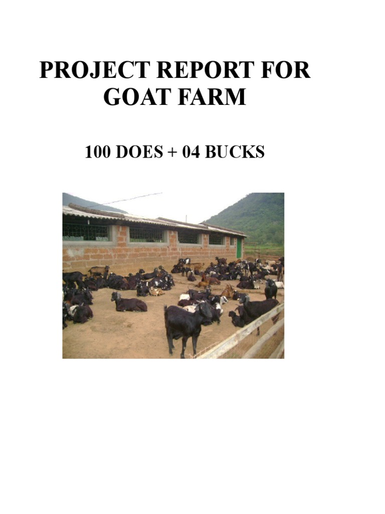 Goat Farming Project Report (100 Does) | PDF | Internal Rate Of Return ...