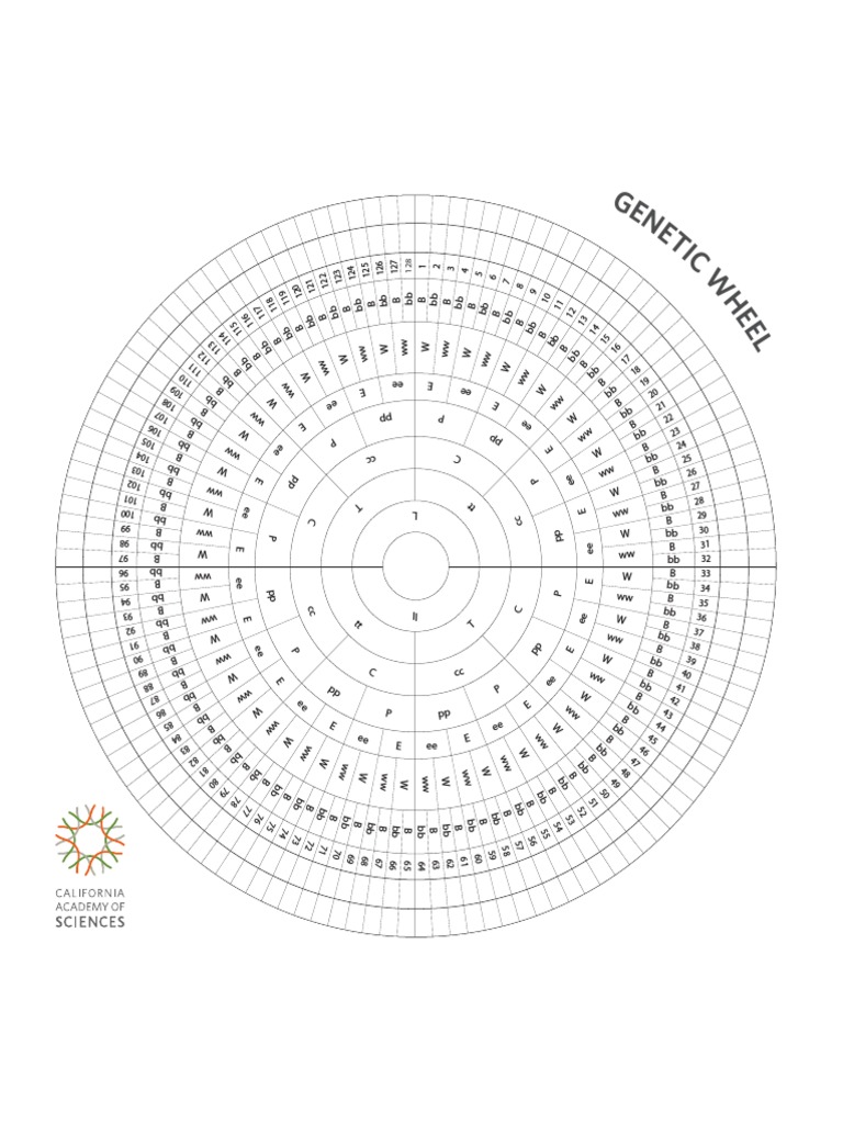 Genetic Traits and Variations Guide | PDF | Zygosity | Dominance (Genetics)