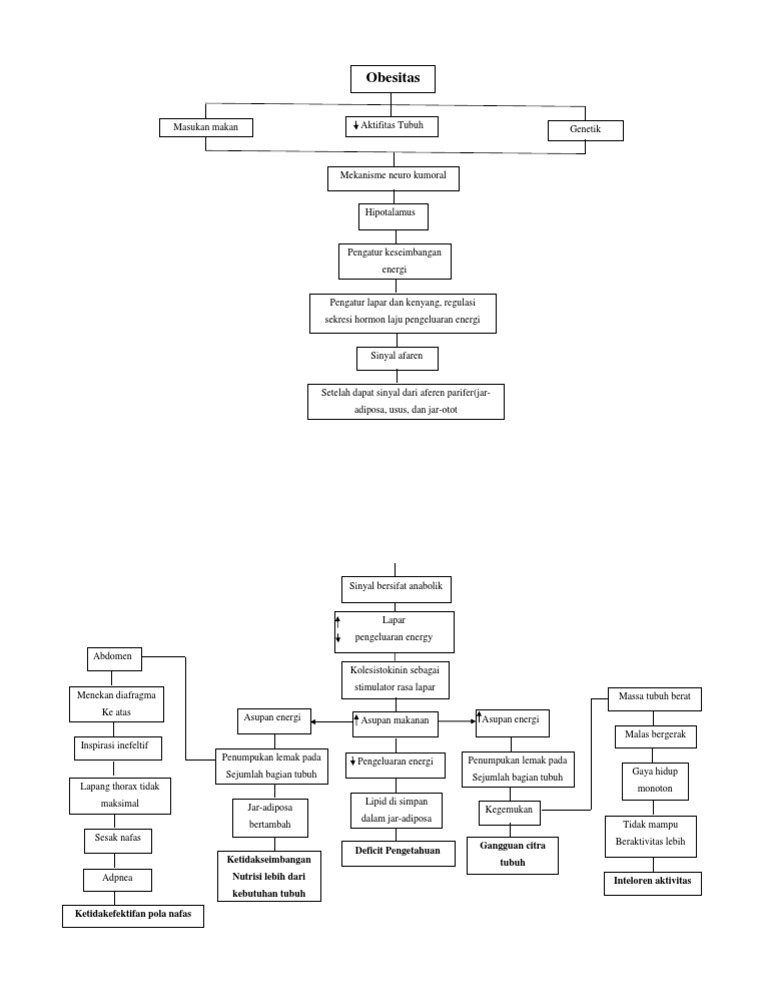 Pathway Obesitas