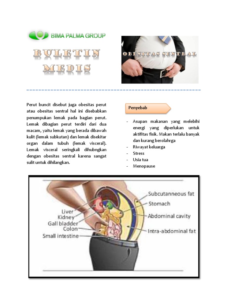 Obesitas Sentral dan Bahayanya | PDF