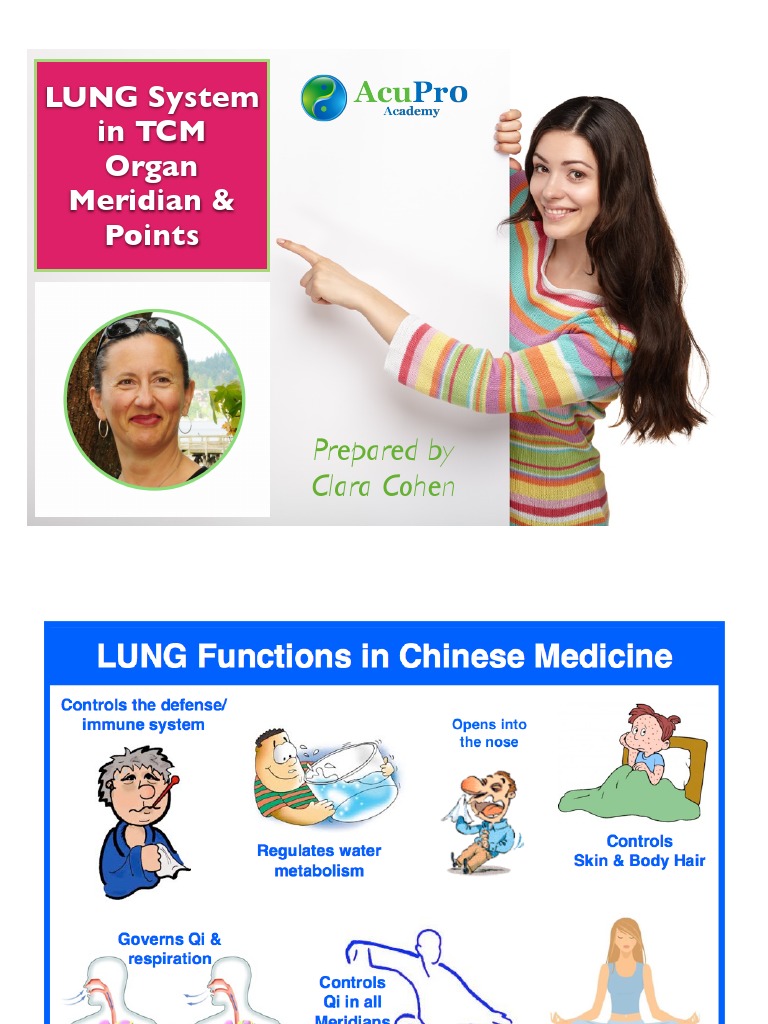 LUNG Meridian Acupuncture Points PDF | PDF | Cough | Artery