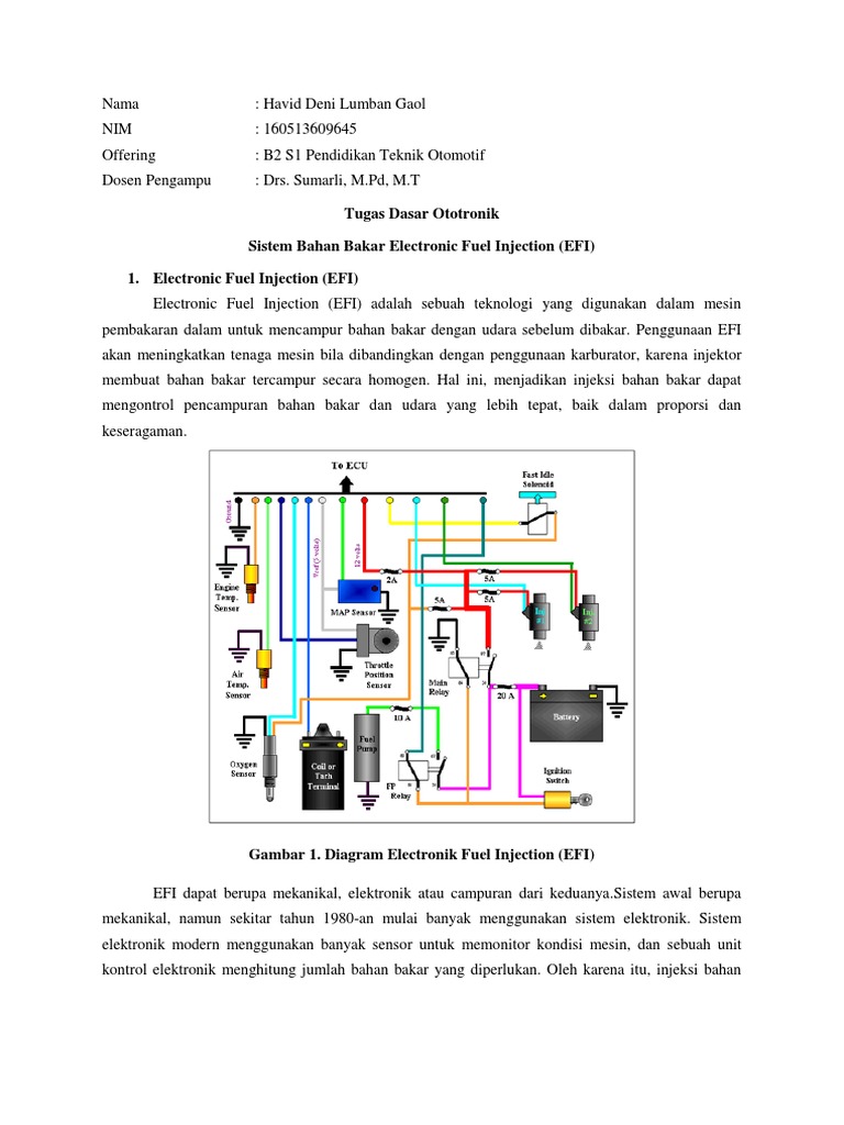 Havid Deni Electronic Fuel Injection | PDF